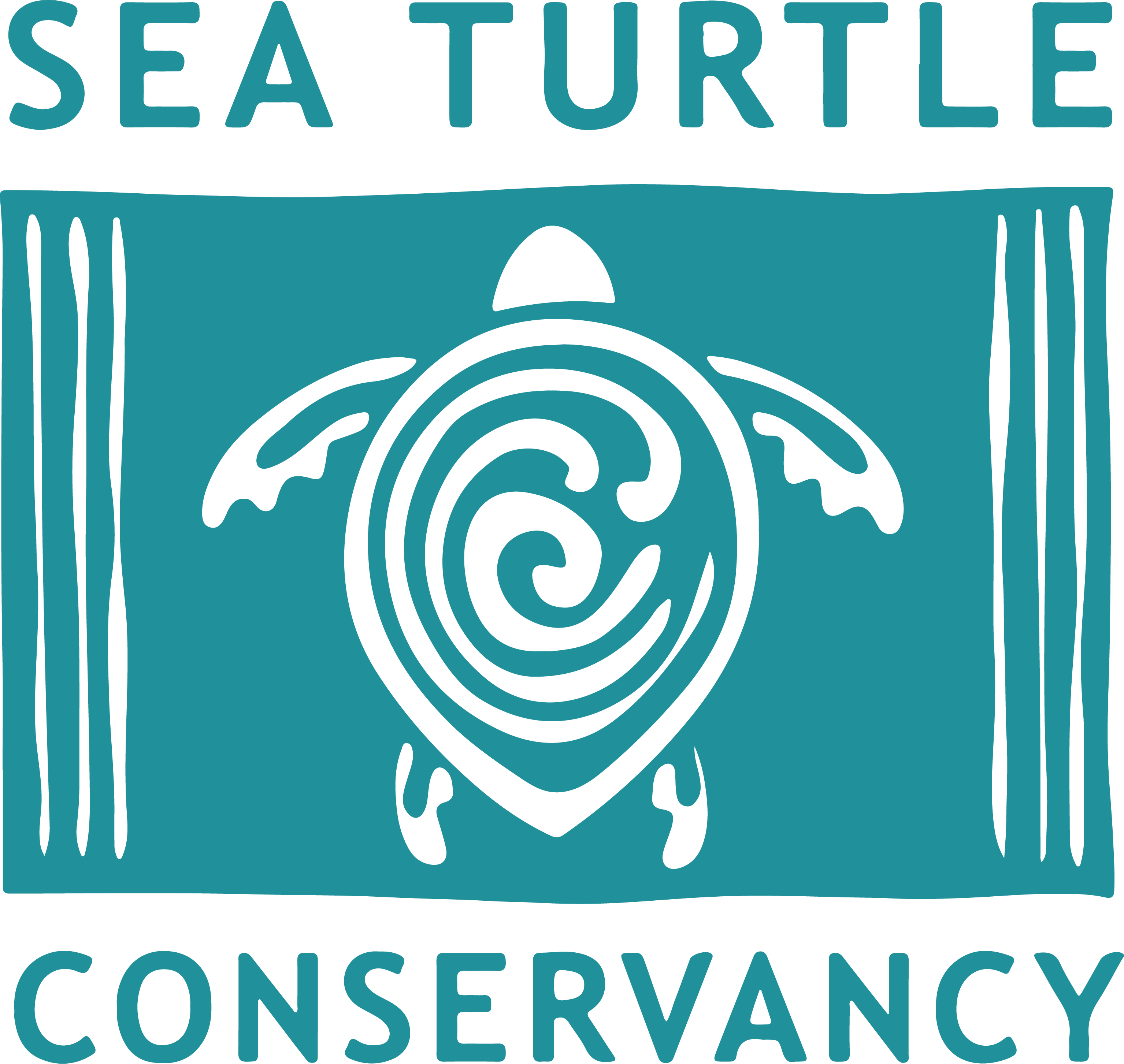 Sea Turtle Conservancy